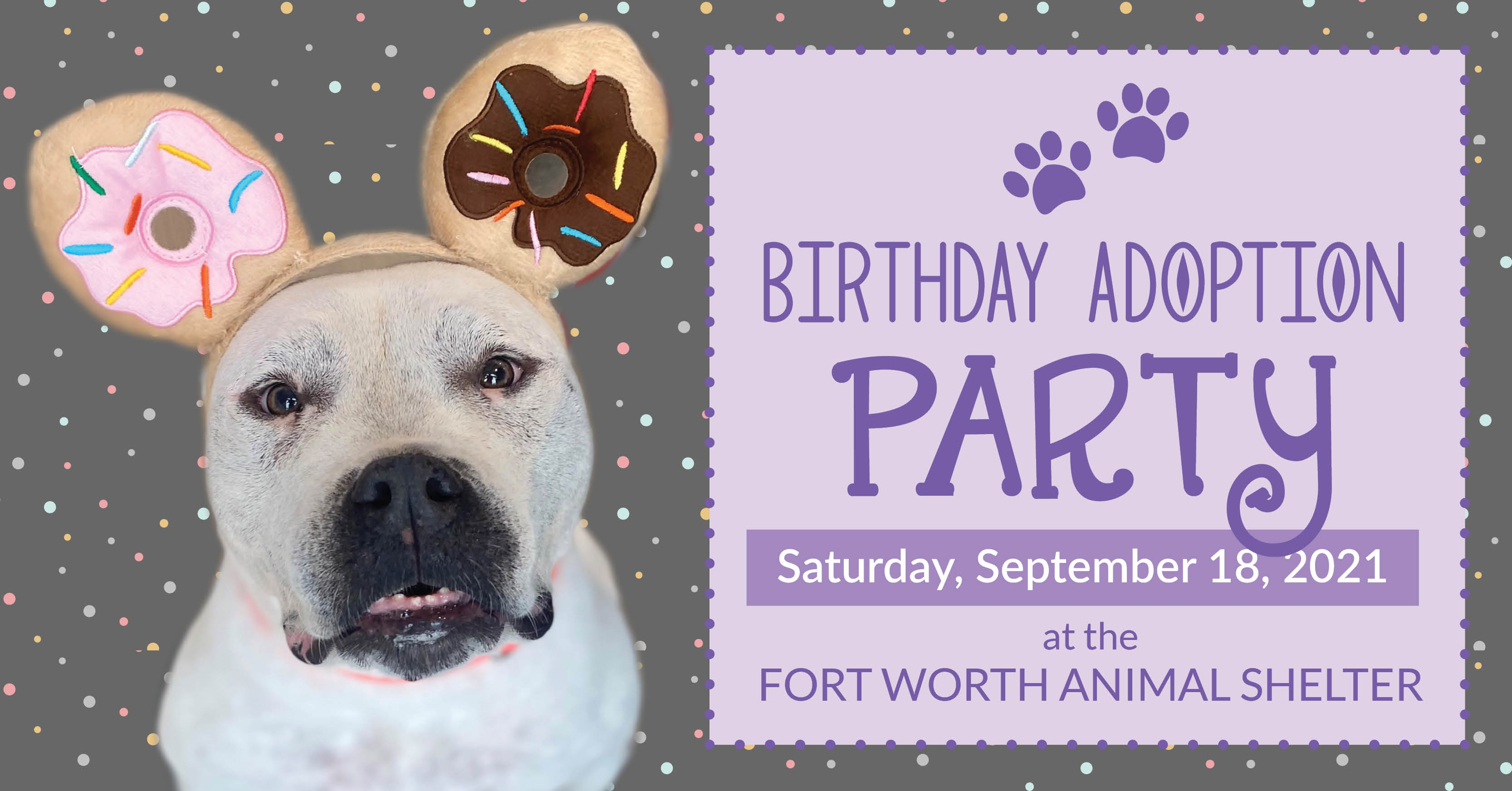 Animal Care & Control – Welcome to the City of Fort Worth