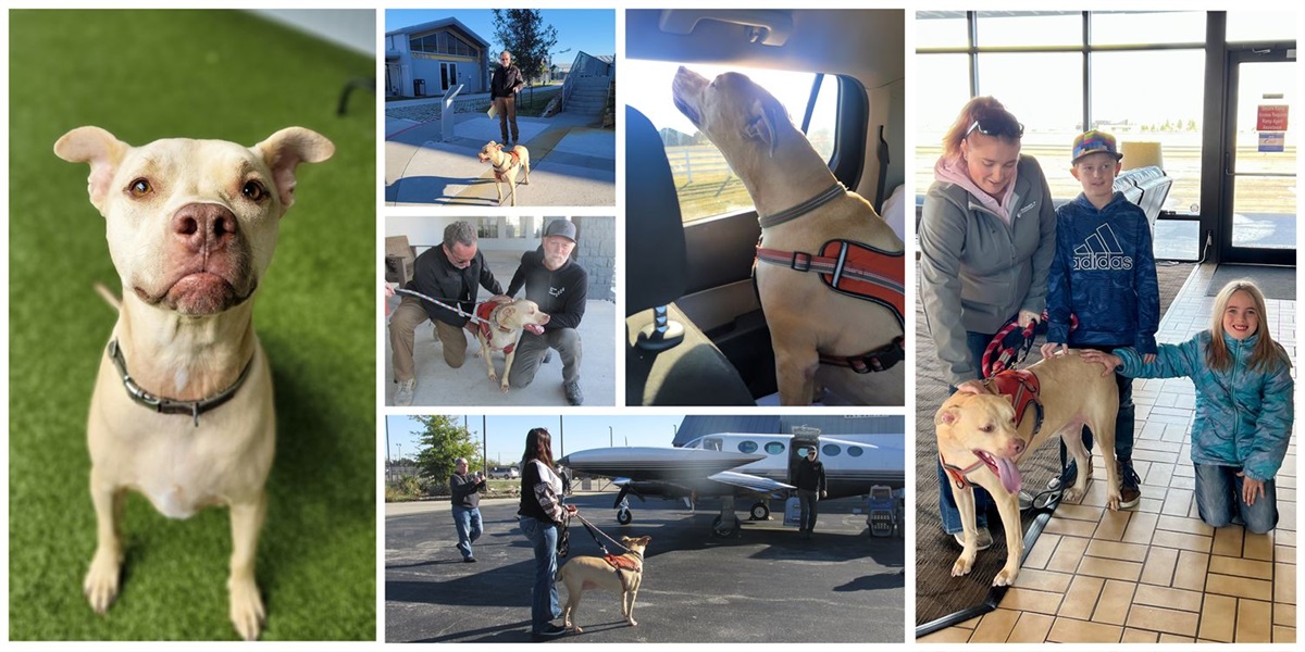 After five years, Bolt and family reunite in time for the holidays ...