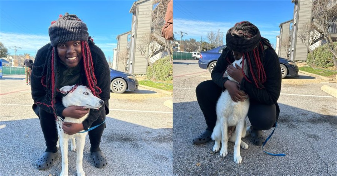 A Reunion to Remember: How Chanel Was Reunited with Her Devoted Owner ...