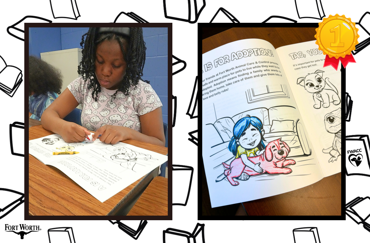 FWACC Wins State Award for Animal Care Coloring Book – Welcome to the ...