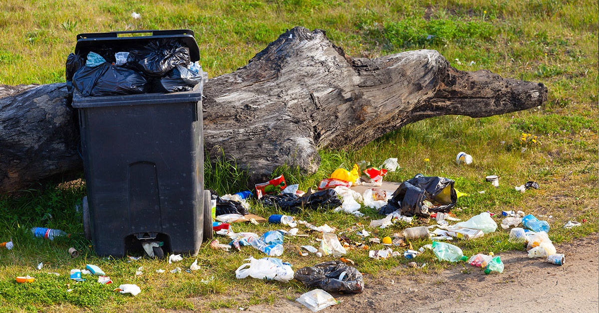 Major Sources of Litter – Welcome to the City of Fort Worth