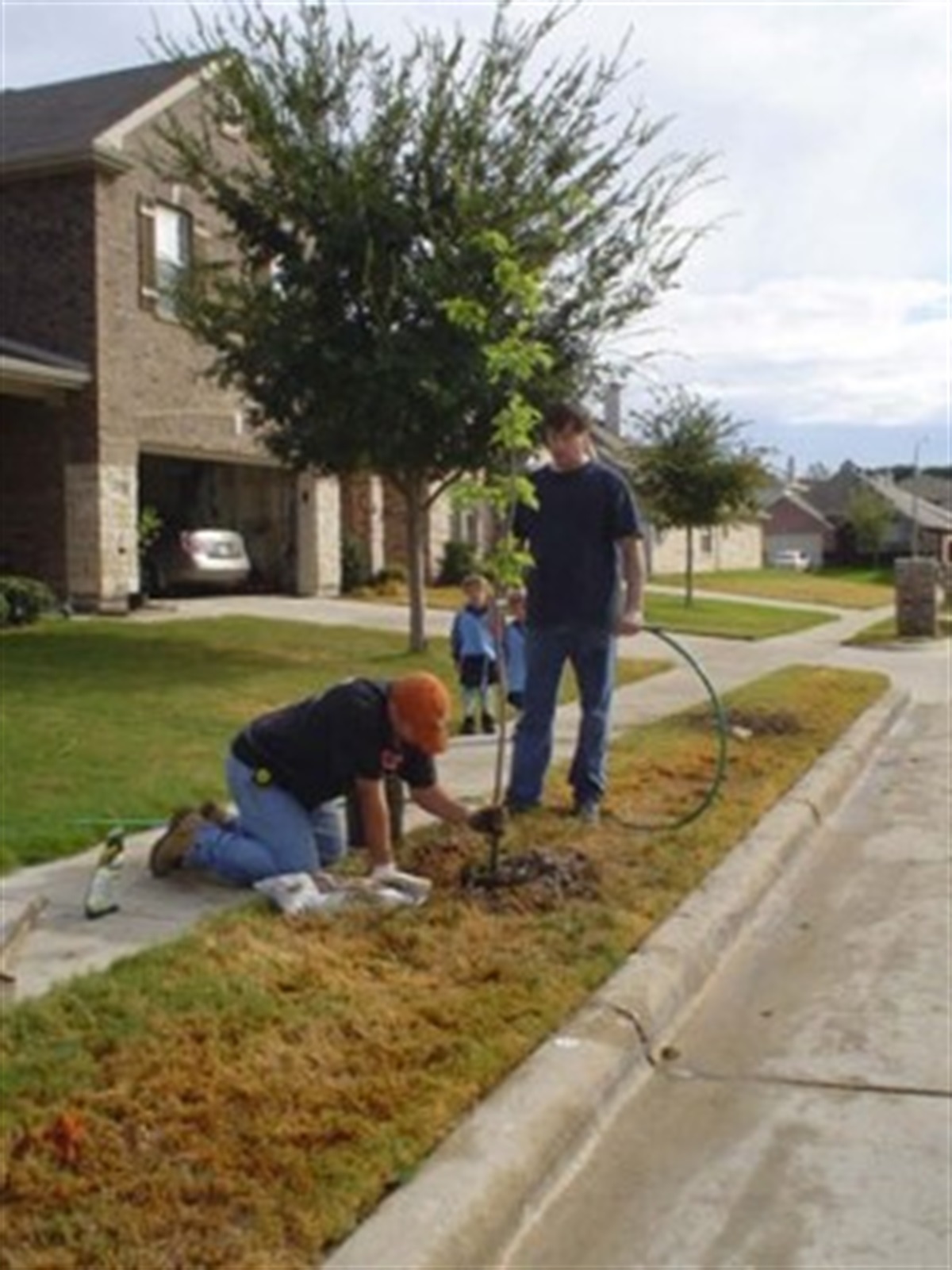 Spruce up your neighborhood with free trees – Welcome to the City of ...