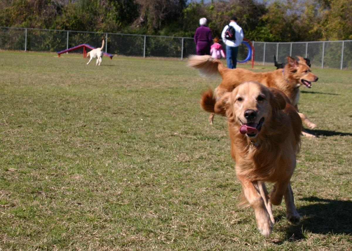 Fort Woof Dog Park – Welcome to the City of Fort Worth