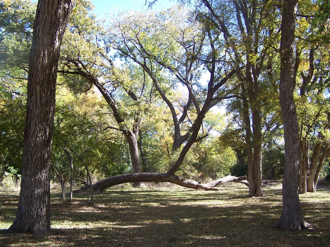 Z. Boaz South Community Park – Welcome to the City of Fort Worth