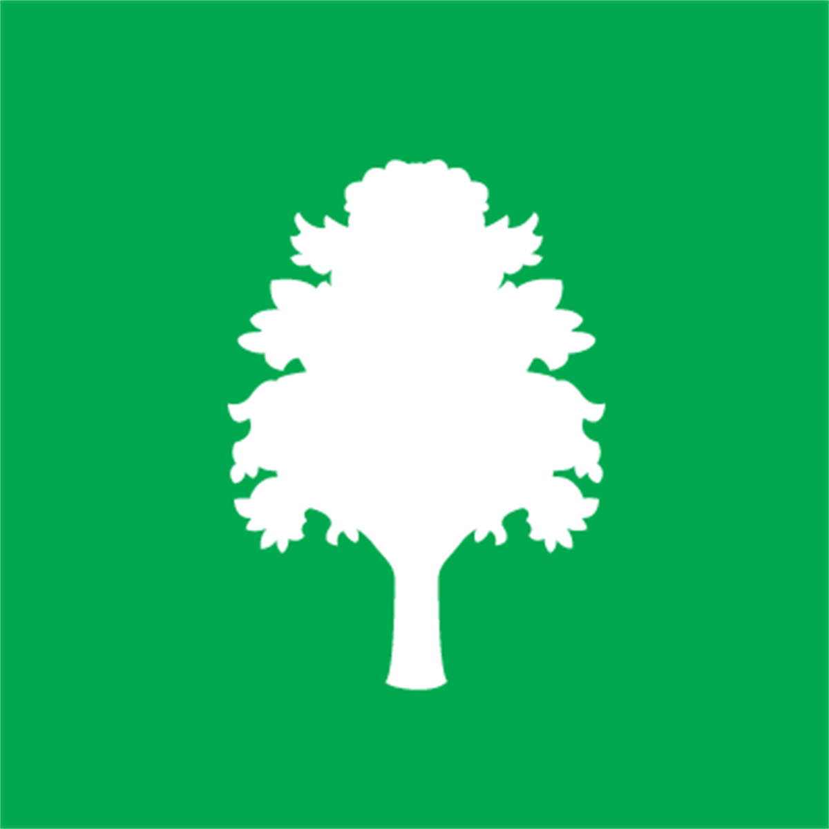 Trinity Trails - Phase 2 River Trails Park to River Legacy Park ...